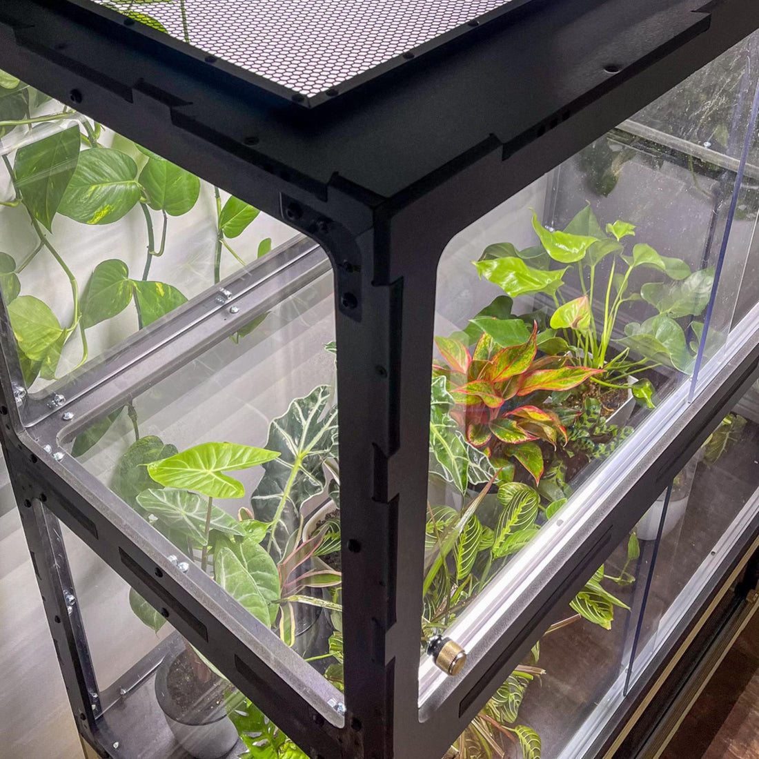 Apex Reptile Enclosures - Furniture Grade Modular Forever Homes