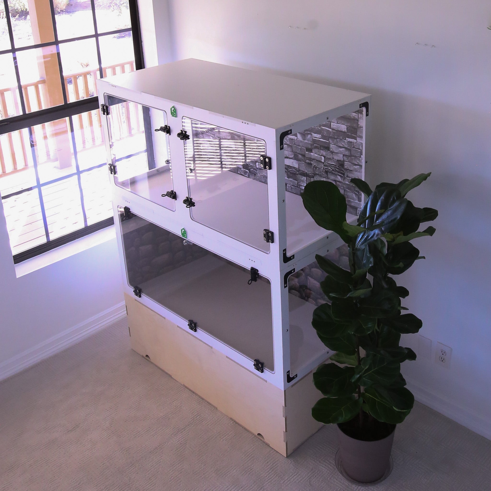 The Last Reptile Enclosure You Will Ever Need – Apex Reptile