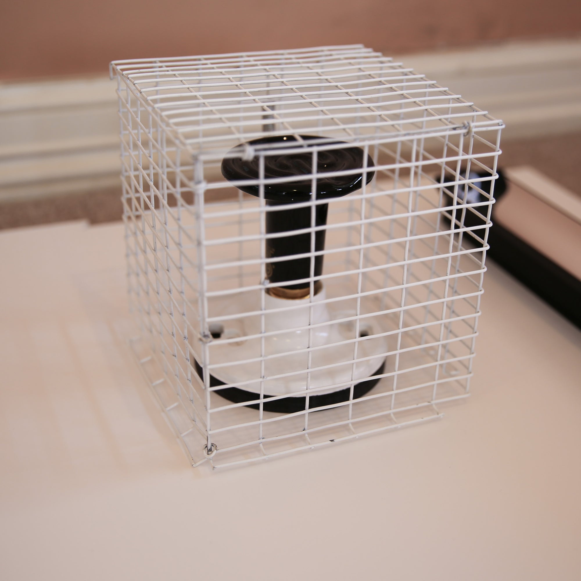 Heating and Lighting a PVC Enclosure – Apex Reptile