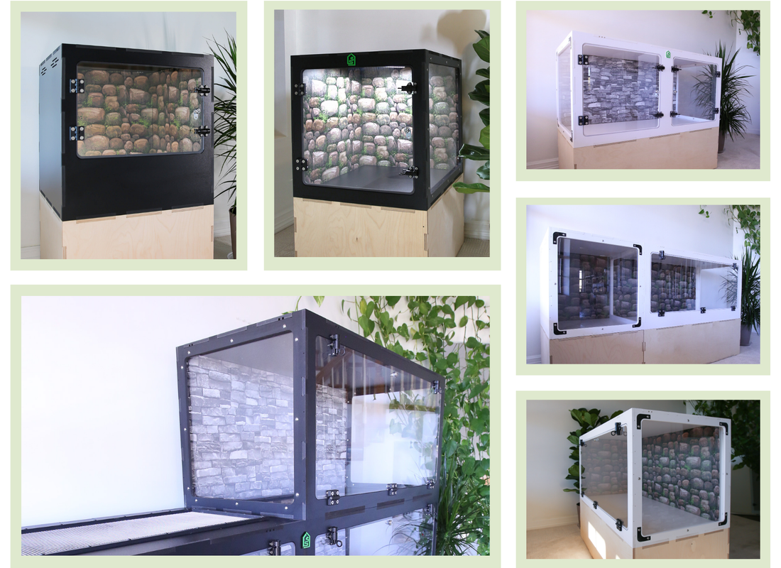 The Last Reptile Enclosure You Will Ever Need – Apex Reptile